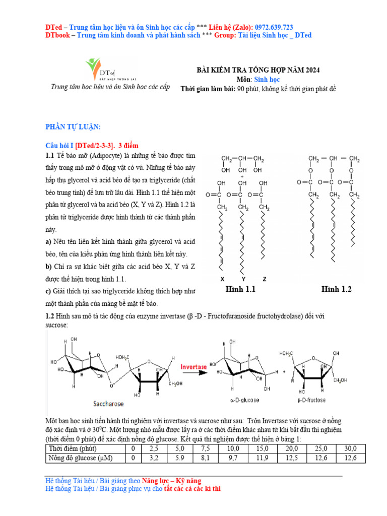 HSG THÀNH PHỐ HÀ NỘI | PDF