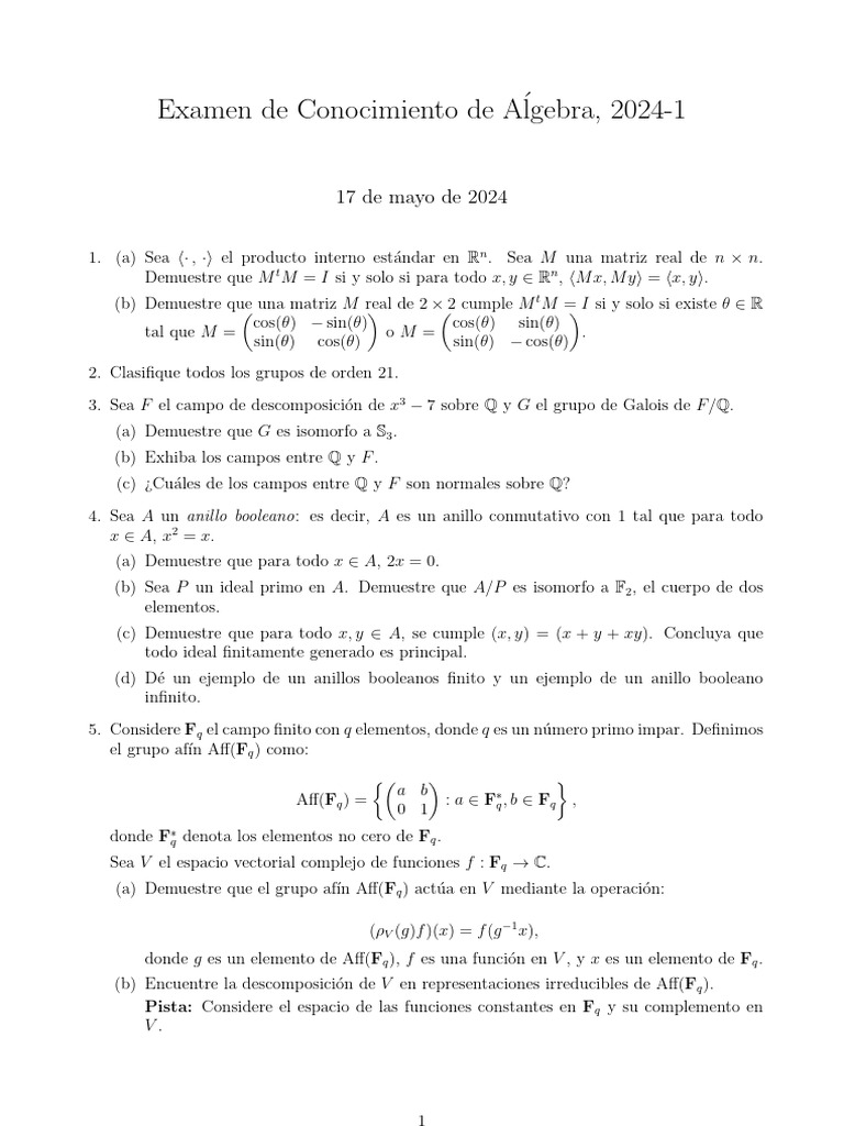 Examen Algebra 2024: Teoría Matricial y Grupos | PDF