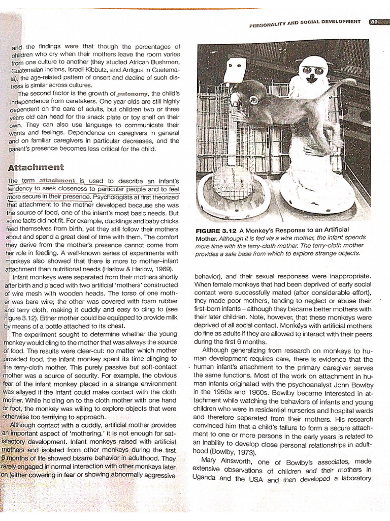 Attachment Theory | PDF