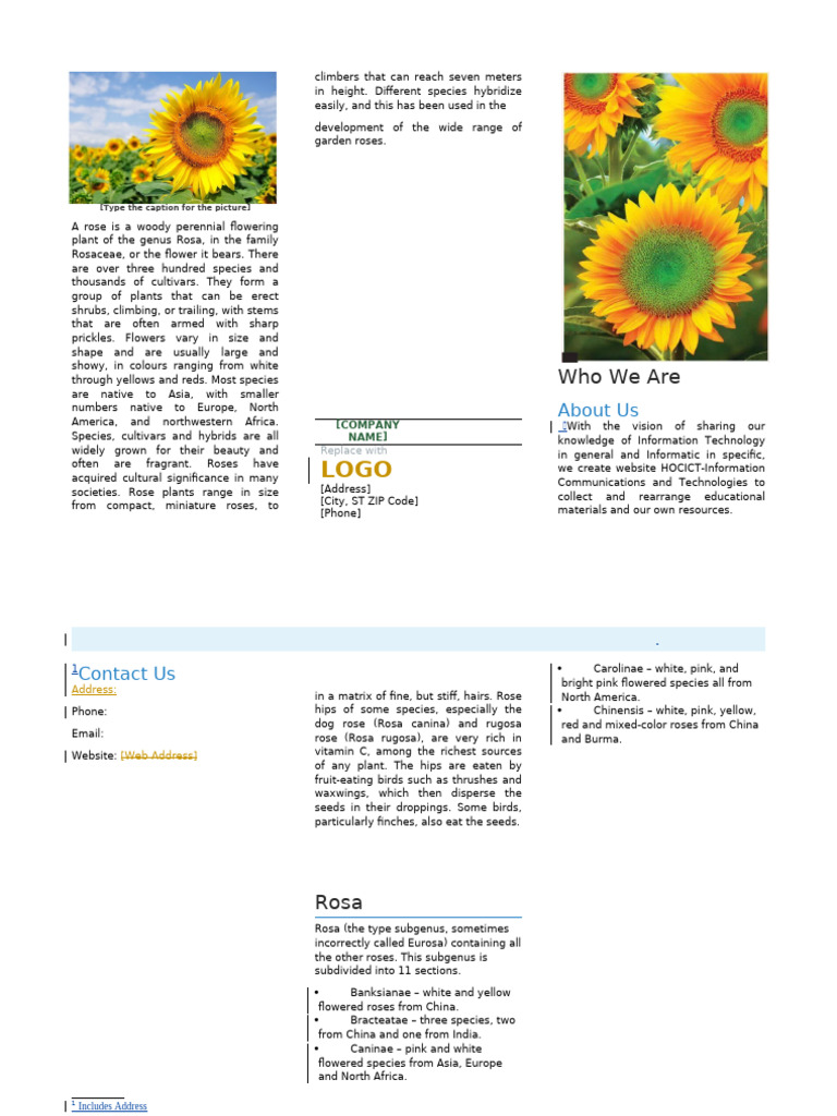 Project 1 (1) | PDF | Rose | Botany