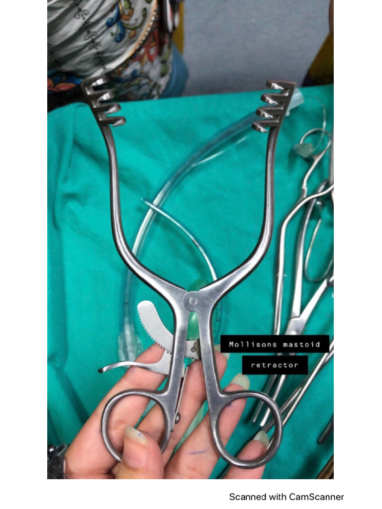 ENT Instruments | PDF