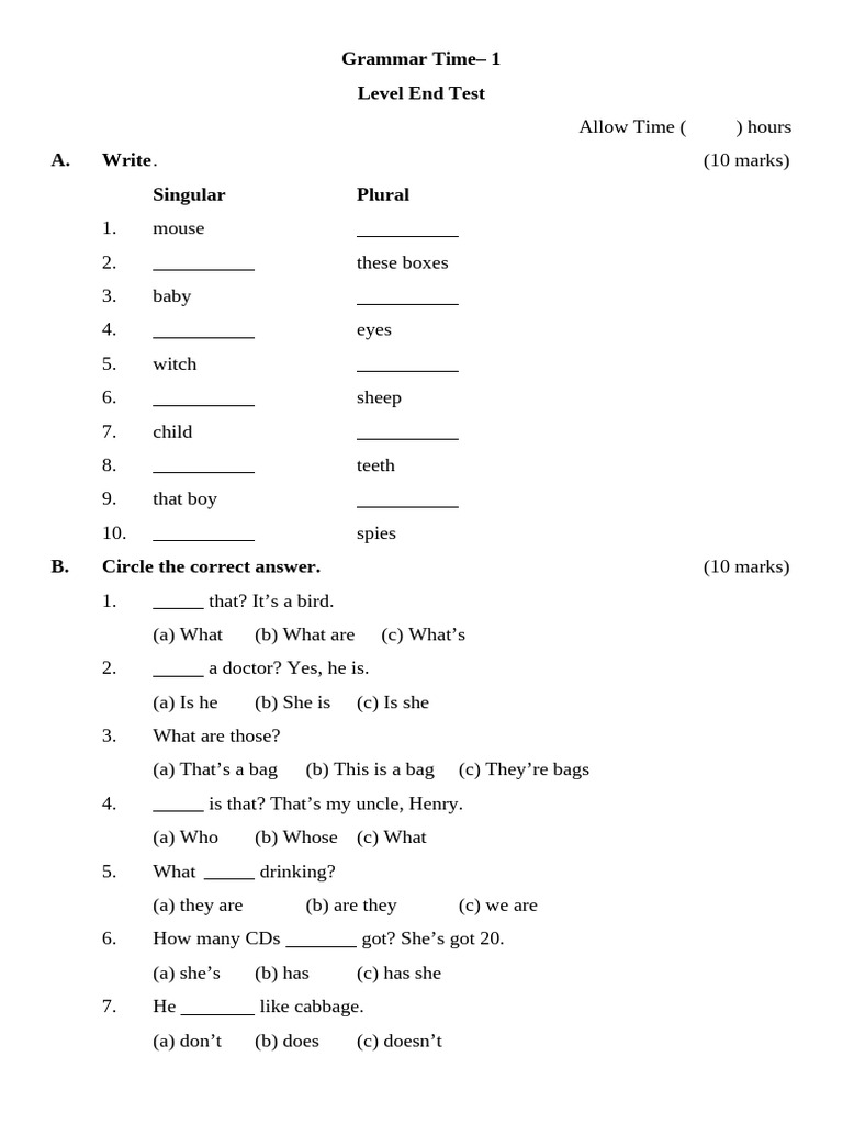 Grammar Time 1 Level End Test | PDF
