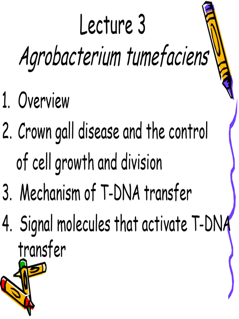 Crown Gall | PDF