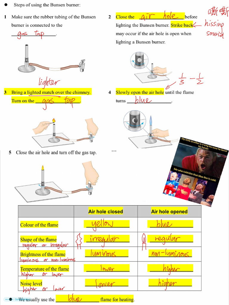 S1 Science Notes ch 1 | PDF