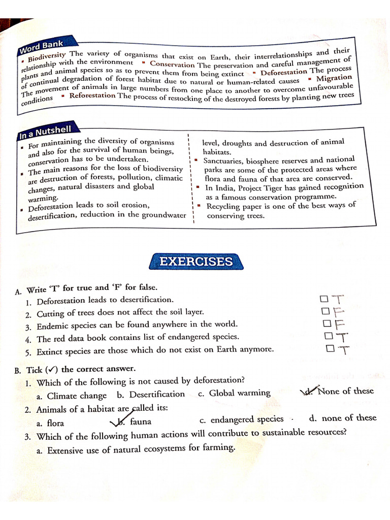 Science Outlook Class VIII | PDF