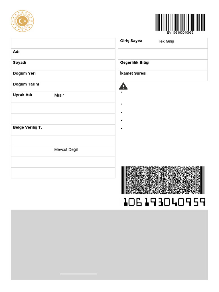 Turkey Electronic Visa Details | PDF