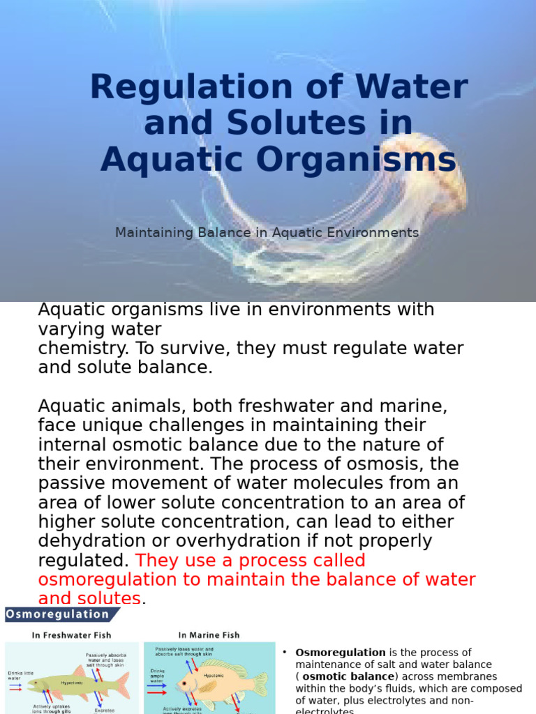 Osmoregulation in Aquatic Organisms | PDF | Osmosis | Physiology