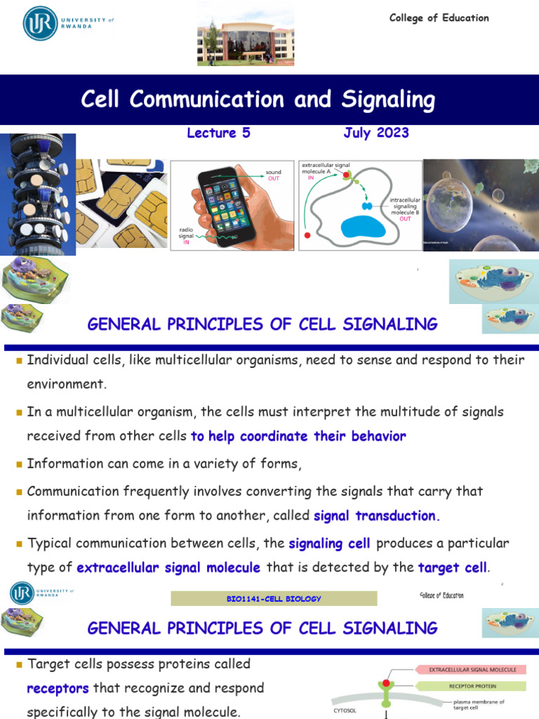 BIO1141 - Lecture 5 Cell Signaling and Communication PPT 2023 | PDF ...