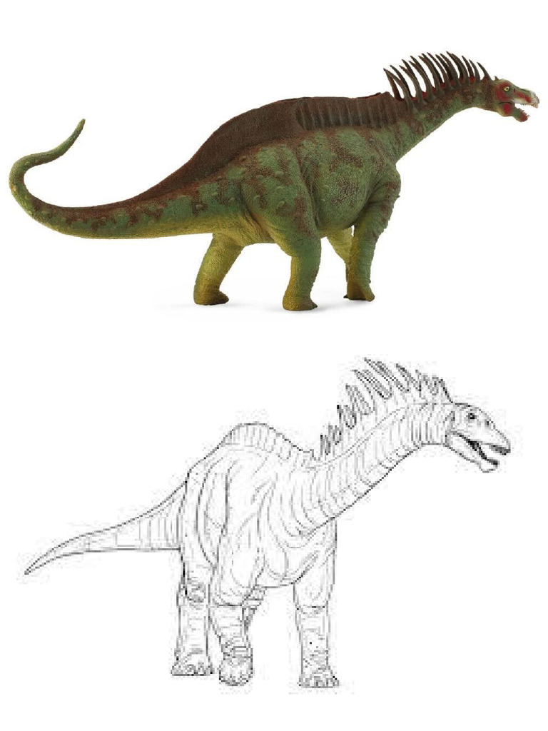 Amargasaurus | PDF