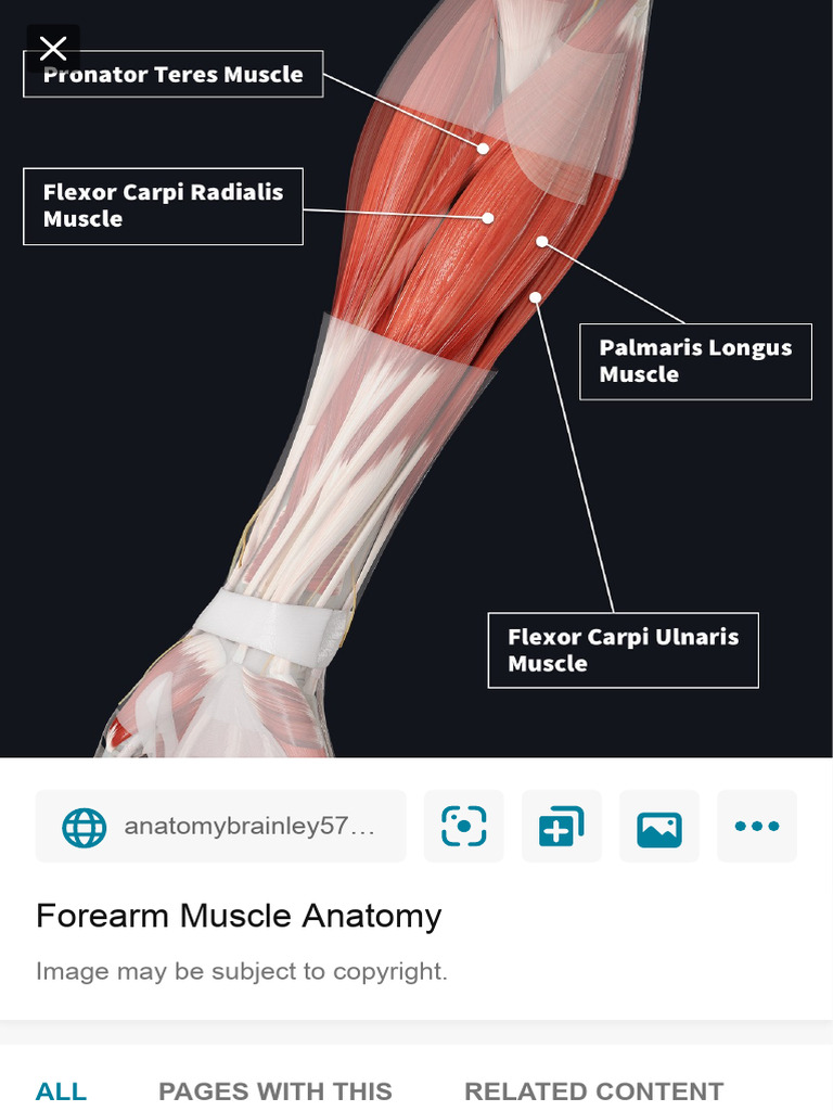 Images | PDF