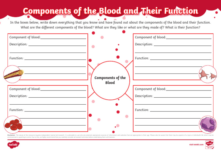 t-sc-1719232782-components-of-the-blood-and-their-function-mind-map_ver ...