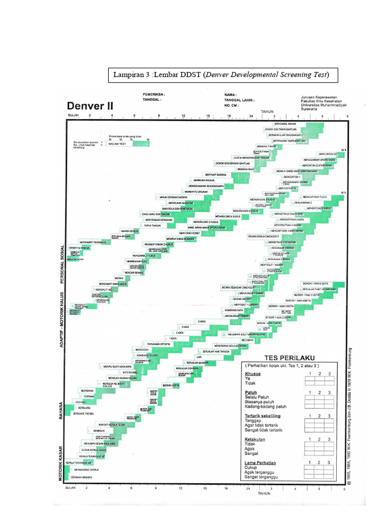 Denver II (Chart) | PDF