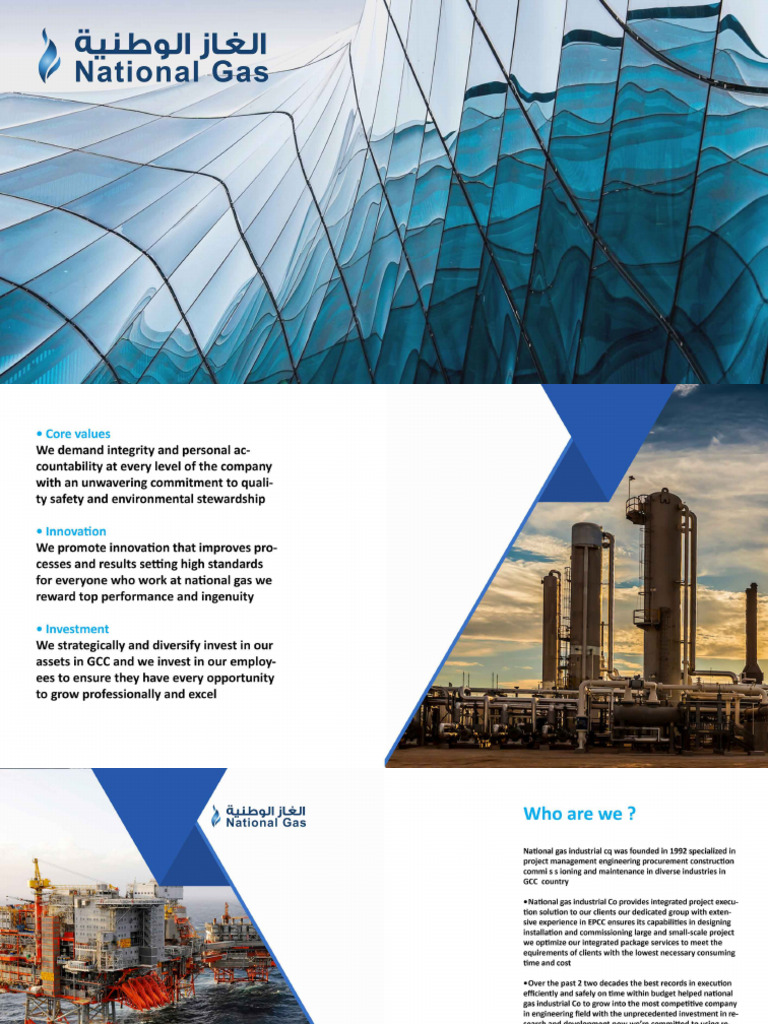 National Gas - Company Profile | PDF | Liquefied Petroleum Gas ...