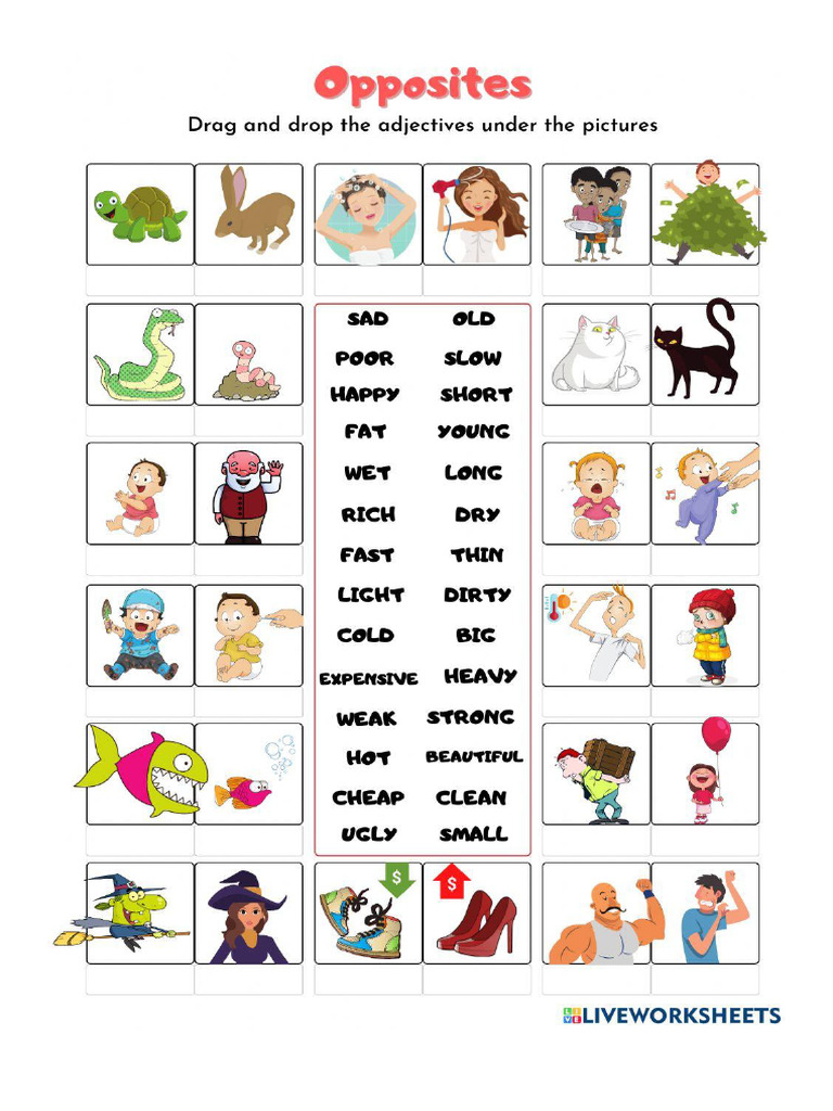 Adjectives Starter No2 | PDF