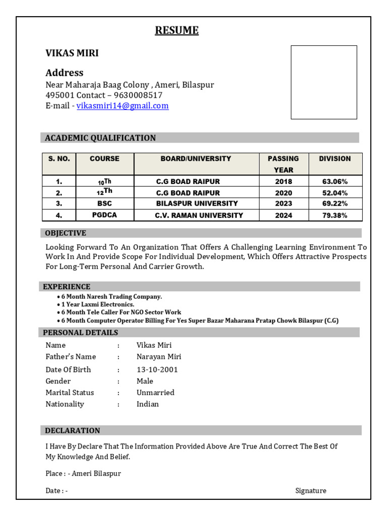 vikas resume | PDF