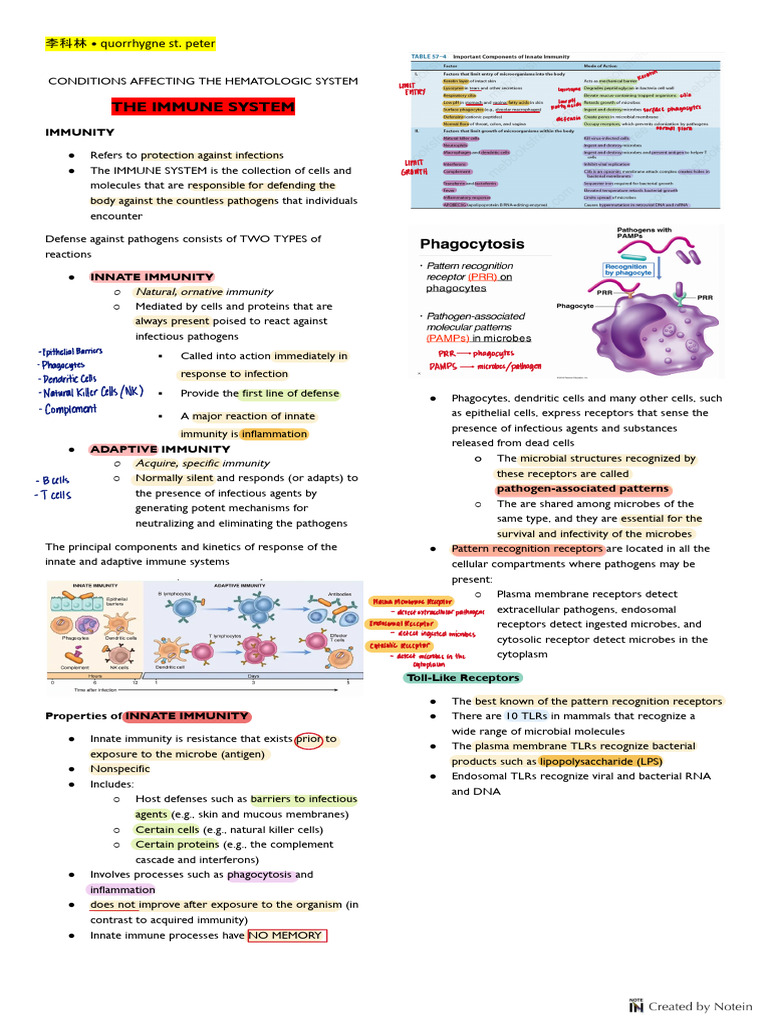 Immune System | PDF | Immune System | Lymphocyte