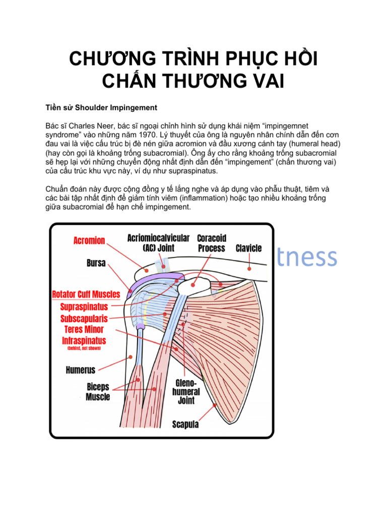 Chuì Oì NG Triì NH Phuì C Hoì Ì I Chaì Ì N Thuì Oì NG Vai | PDF