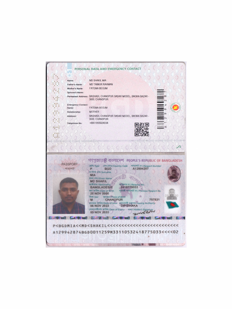 My Passport PDF | PDF