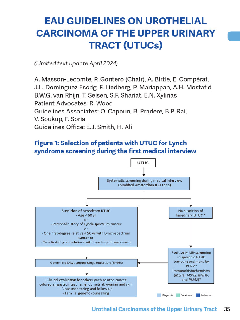 EAU Pocket On Upper Urinary Tract Urothelial Carcinoma 2024 2024 07-11-132016 Rywe | PDF ...