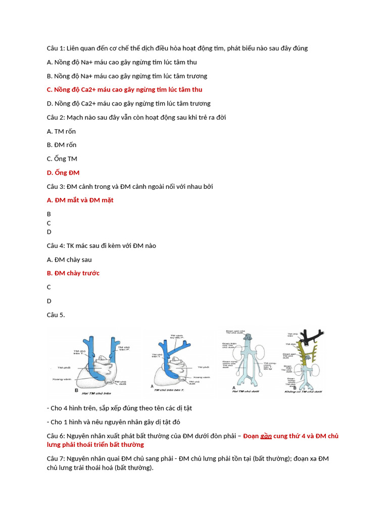 Đề cương cuối kì Modul Tim mạch | PDF