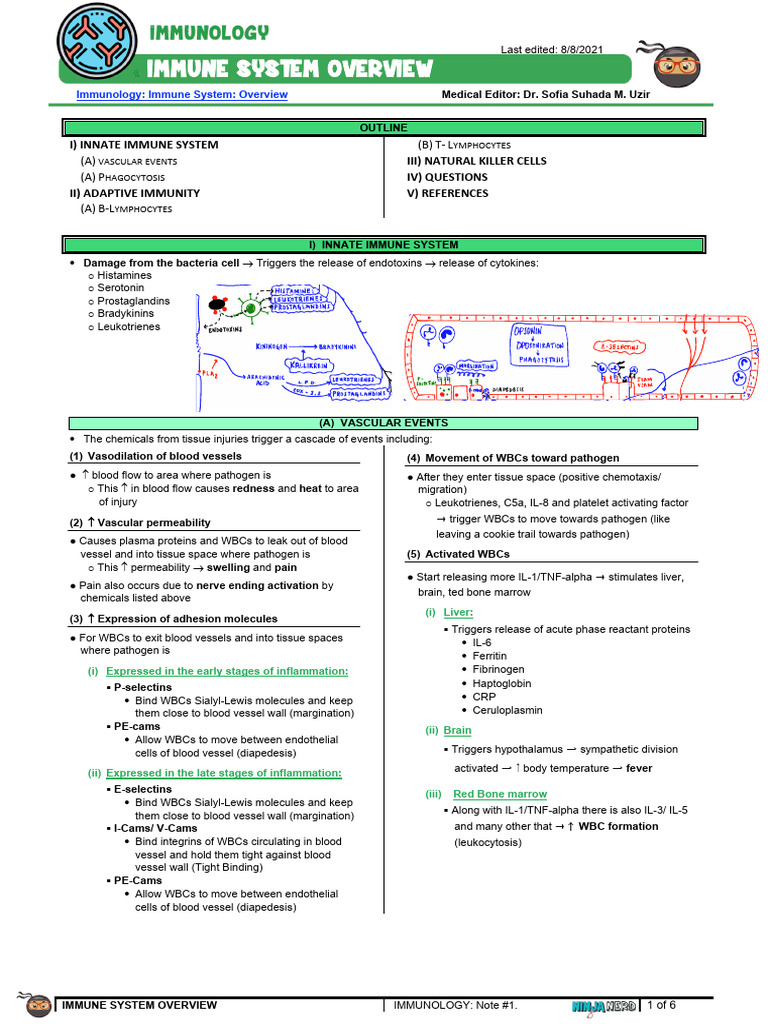 Immune System - Overview (1) Atf | PDF | T Helper Cell | T Cell