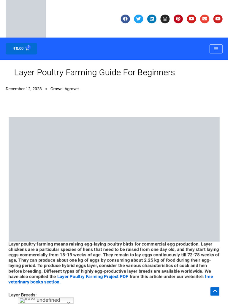 Beginner's Guide to Layer Poultry Farming | PDF | Poultry Farming | Chicken
