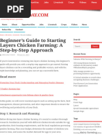 Commercial Layers Production Guide | PDF | Chicken | Poultry Farming