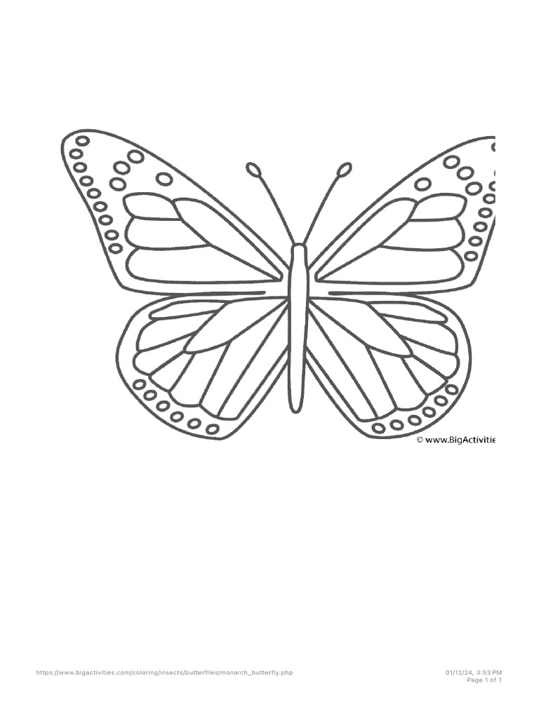 Monarch Butterfly - Coloring Page (Insects) | PDF