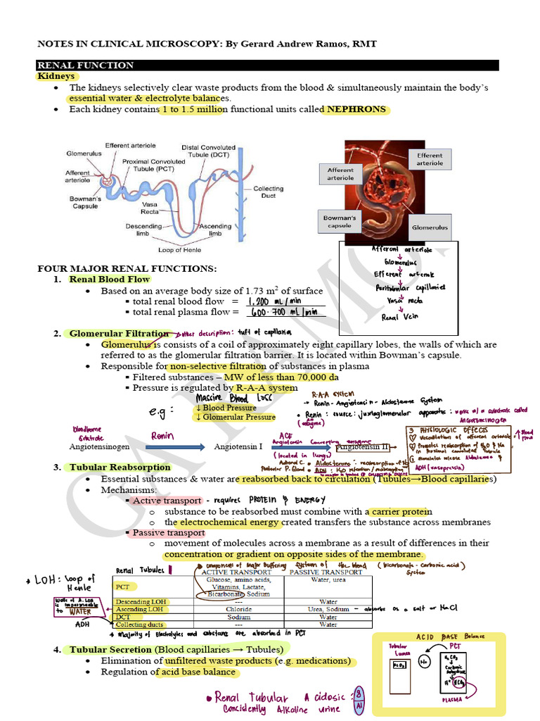 Aubf Handout 2 | PDF | Creatinine | Angiotensin