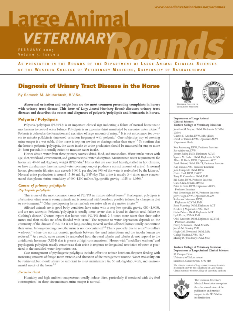 Abutarbush 2006 Diagnosis of Urinary Tract Disease in The Horse | PDF | Urinary System | Kidney
