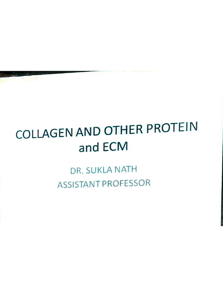 Collagen and Other Protein..and ECM... Biochemistry | PDF