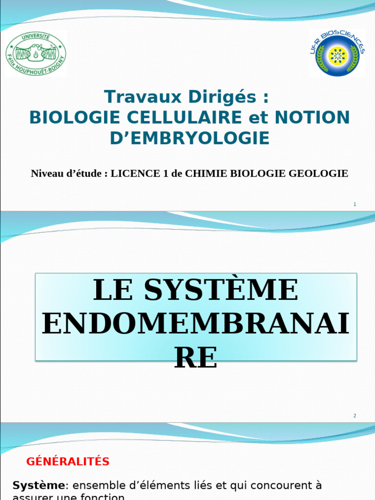 Système endomembranaire en biologie cellulaire | PDF | Cytosol | Vacuole