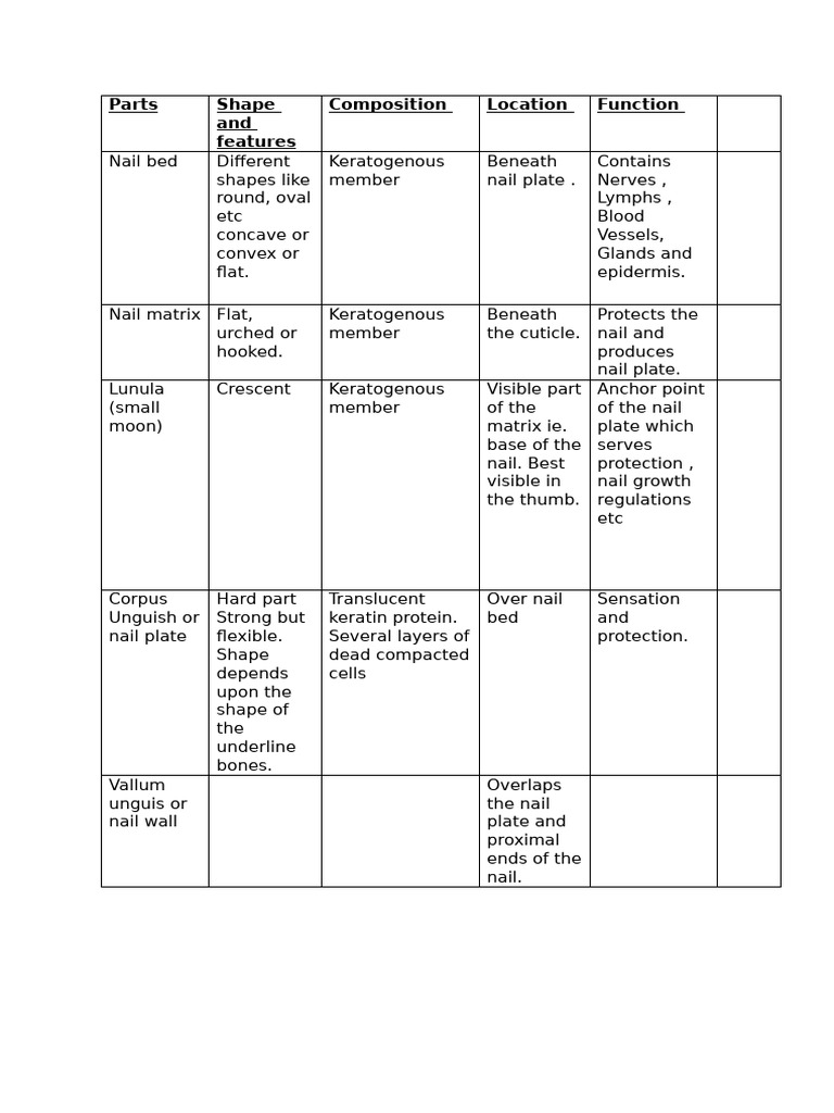 Anatomy and Function of Nails | PDF