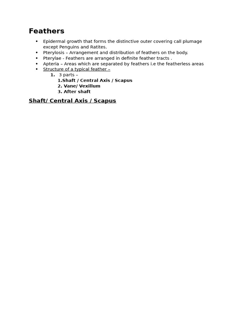 Feathers: Shaft/ Central Axis / Scapus | PDF