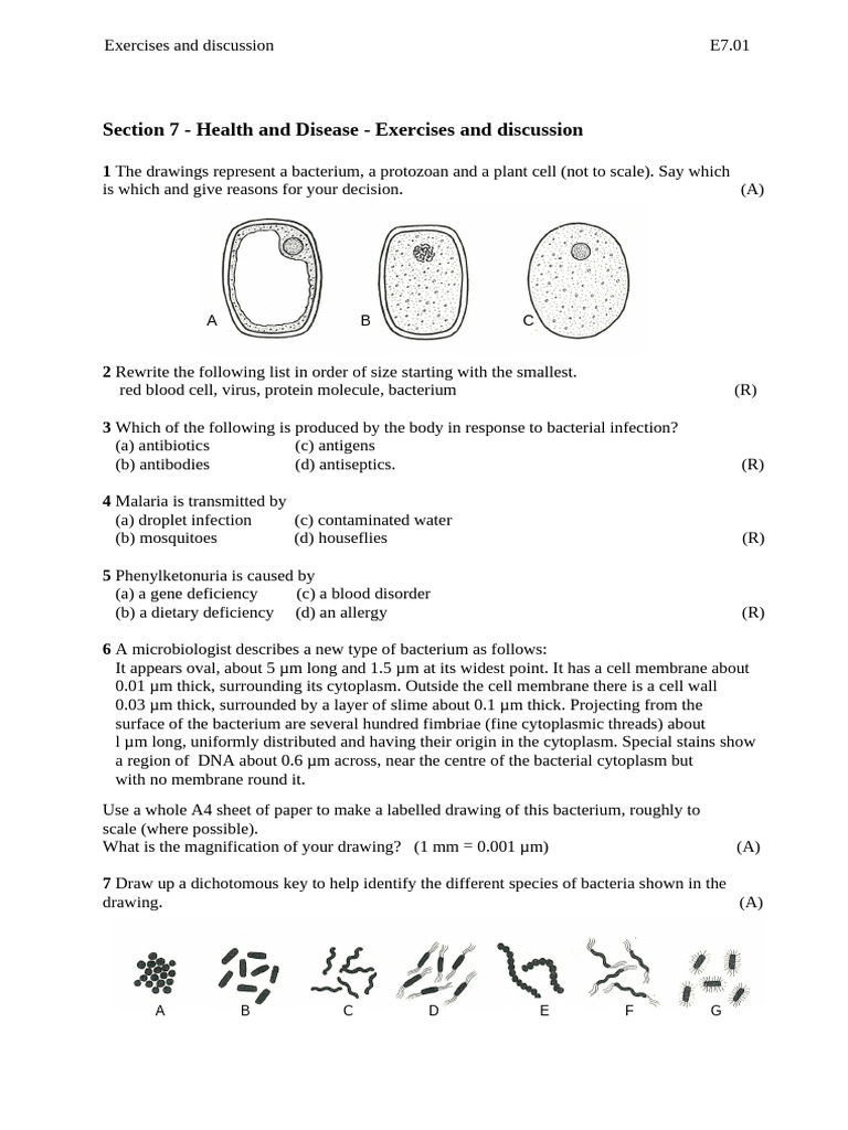 Exercises 07 Micro Organisms | PDF | Bacteria | Cell (Biology)