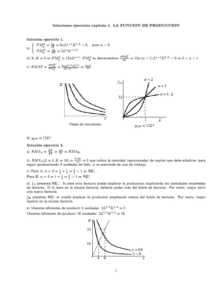 Sol Ejer Cap1 | PDF | Ciencias económicas | Producción y fabricación