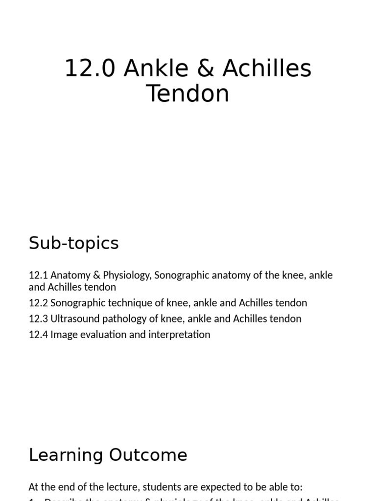 12.0 B Ankle & Achilles Tendon | PDF | Ankle | Foot