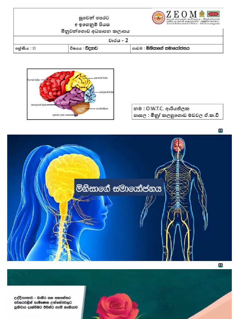 Manawa Deha Kriyawali - Minisage Samayojanaya Short Note Grade 11 ...