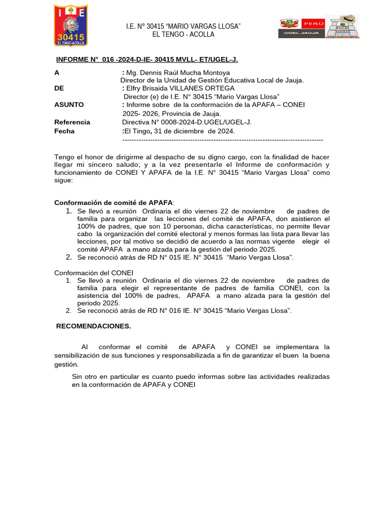 Informe de Conformación de APAFA y CONEI | PDF | Gobierno