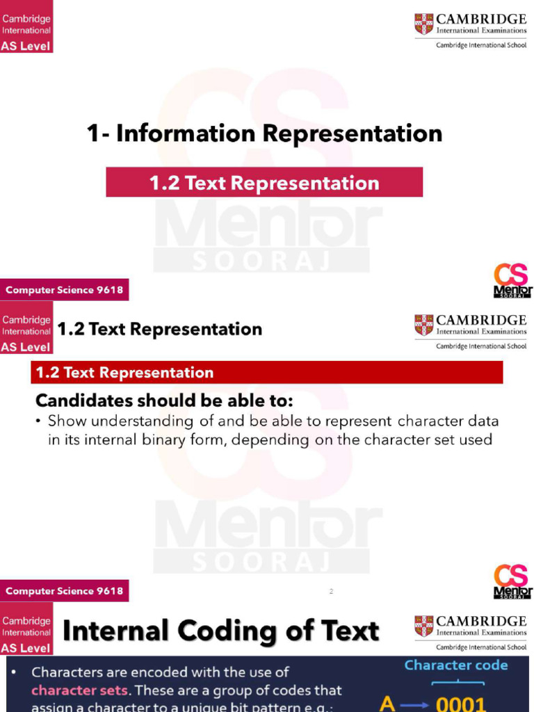 1.2 Data Representation - Text | PDF