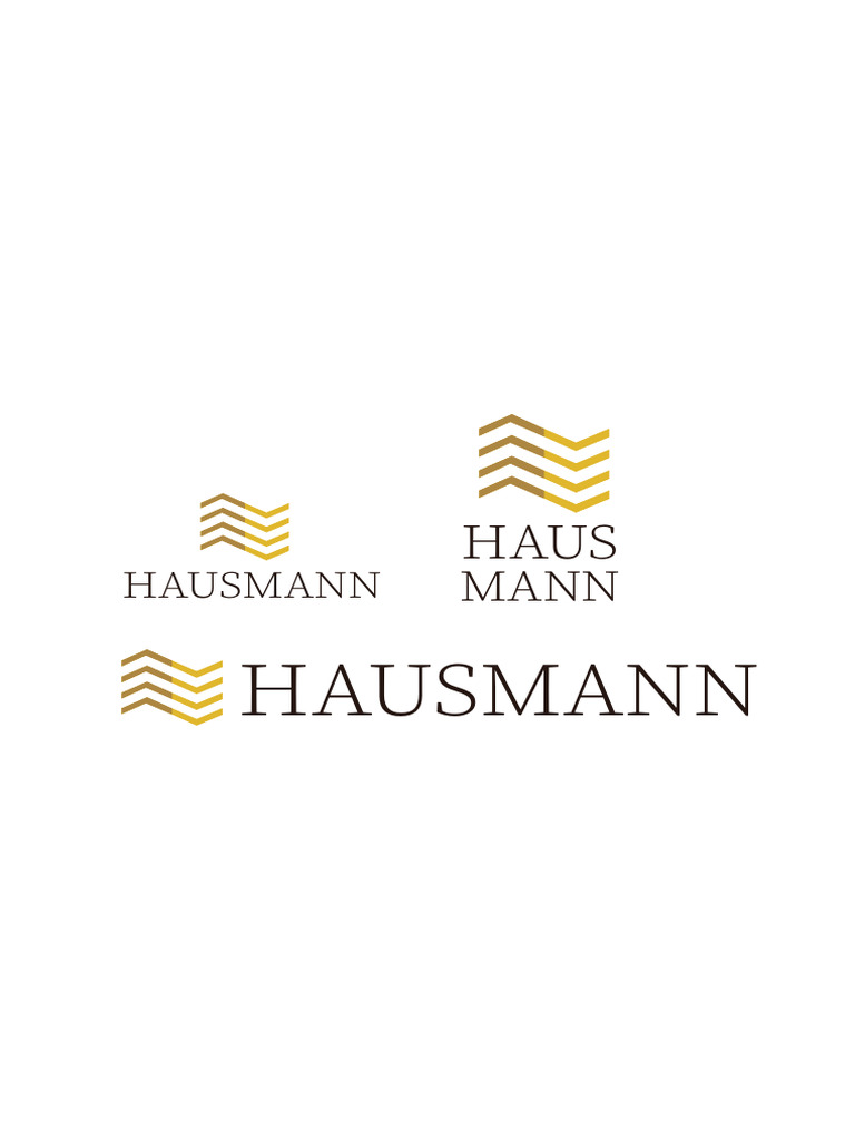 Hausmann Logo Copiar | PDF