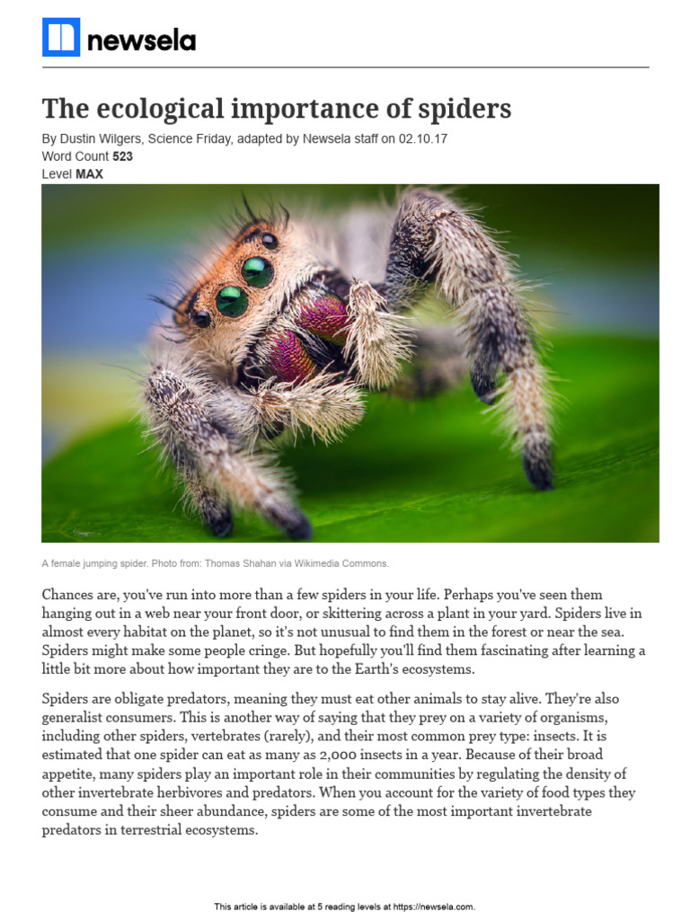 Ecological Role of Spiders Explained | PDF | Predation | Pest (Organism)