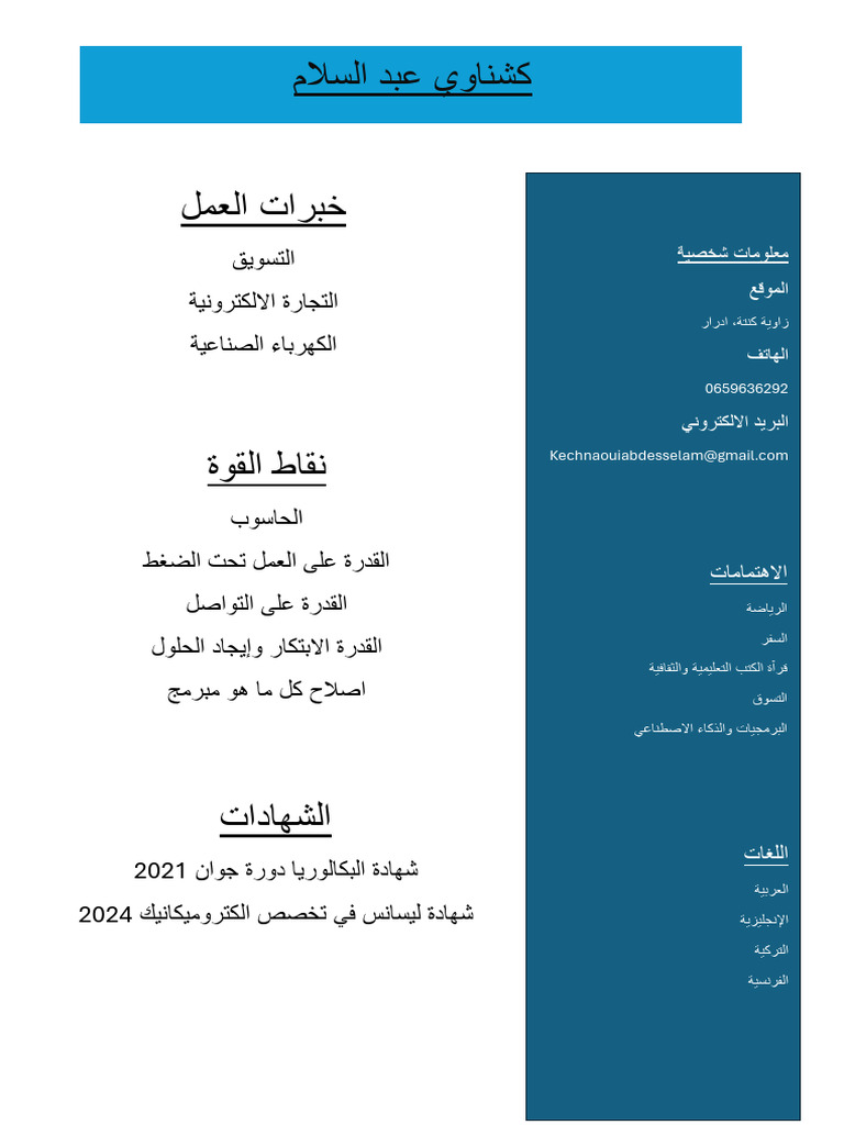 CV Arabic | PDF