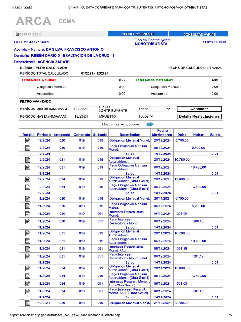 Comprobante De Pago Afip Pdf