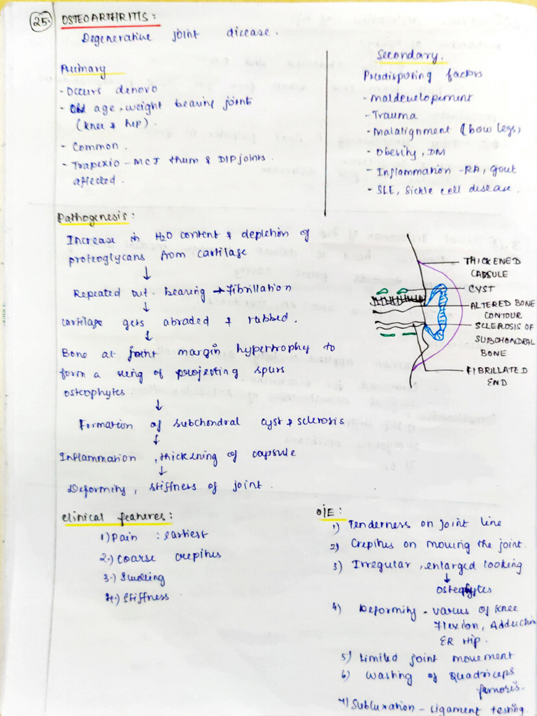 Final Year Ortho Cold, Tumour, Nerve Injury | PDF