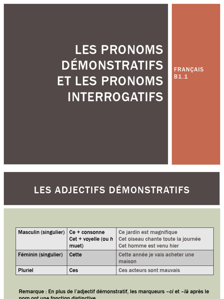 Pronoms et adjectifs en français | PDF | Pronom | Genre grammatical