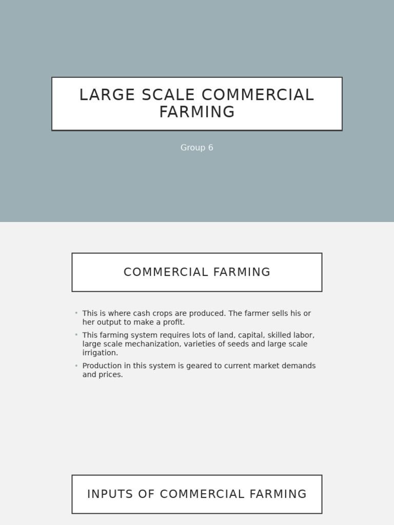 Large Scale Commercial Farming | PDF | Agriculture | Intensive Farming