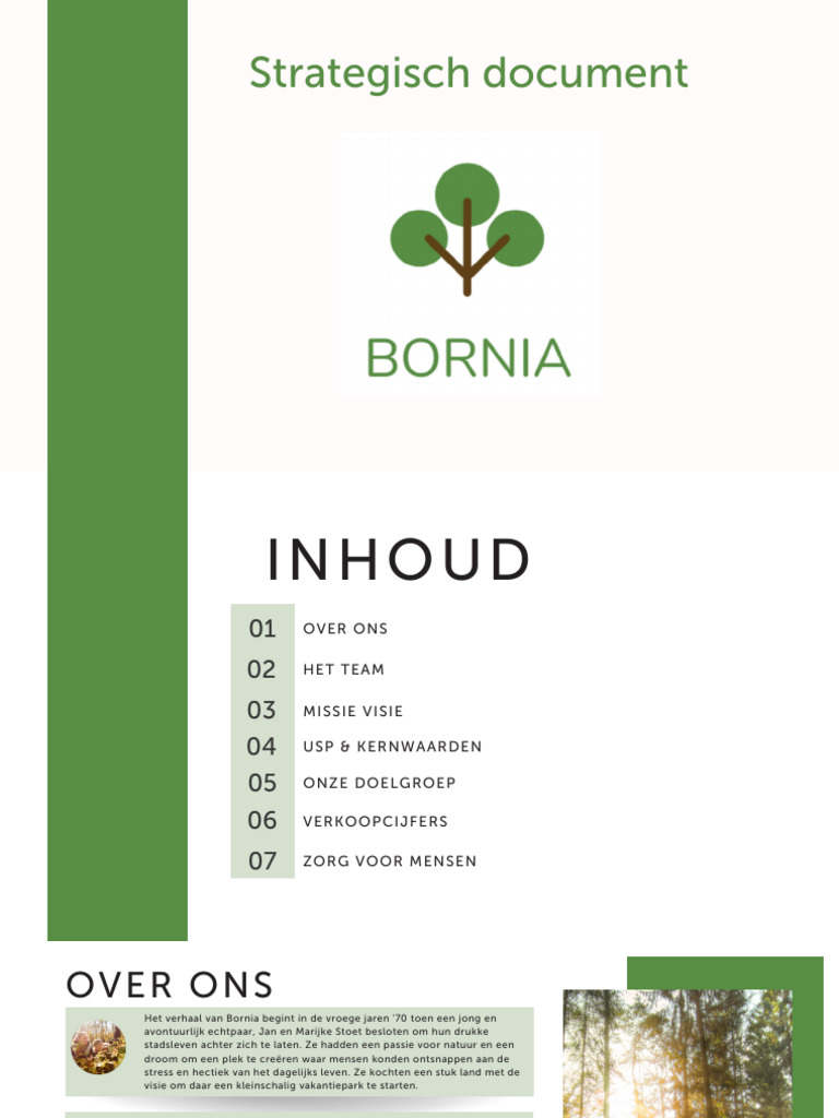 Strategisch Document Bornia | PDF