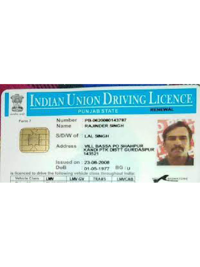 Driver Licence 2 | PDF