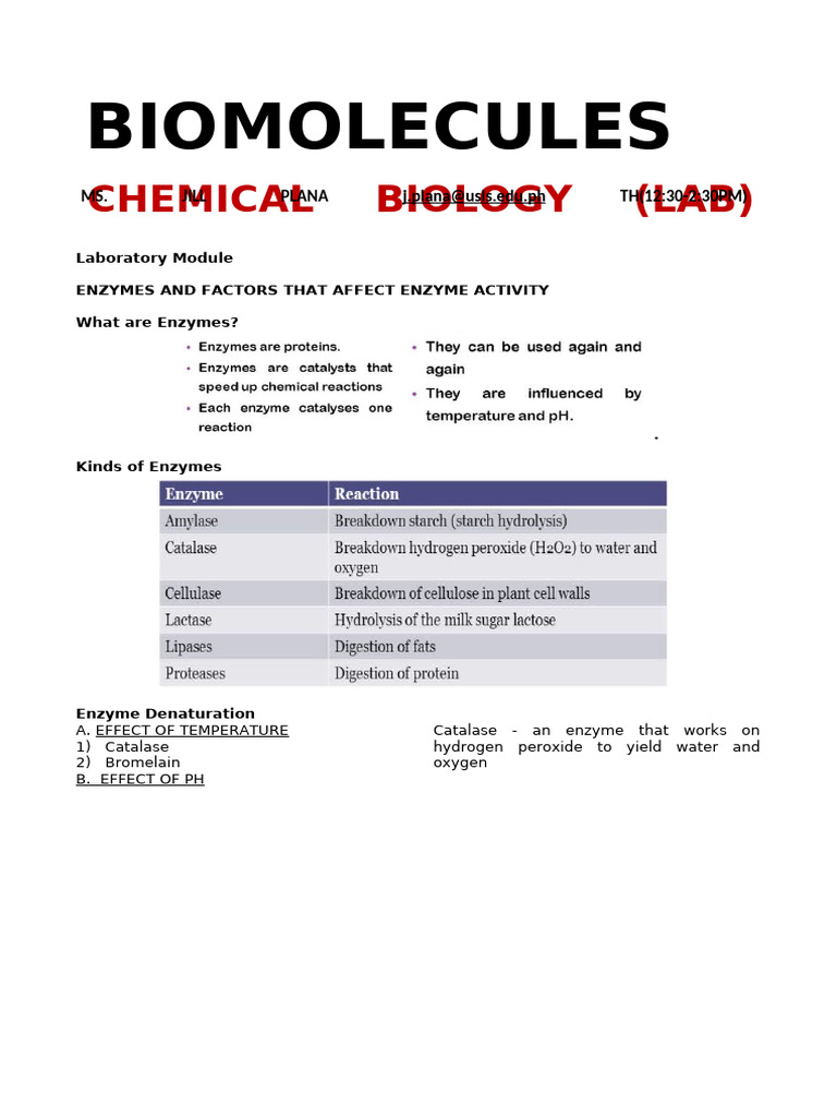Enzyme Activity Factors Lab Guide | PDF